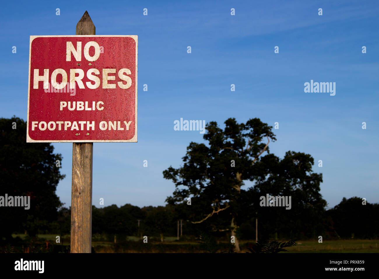 Footpath only sign hi-res stock photography and images - Alamy
