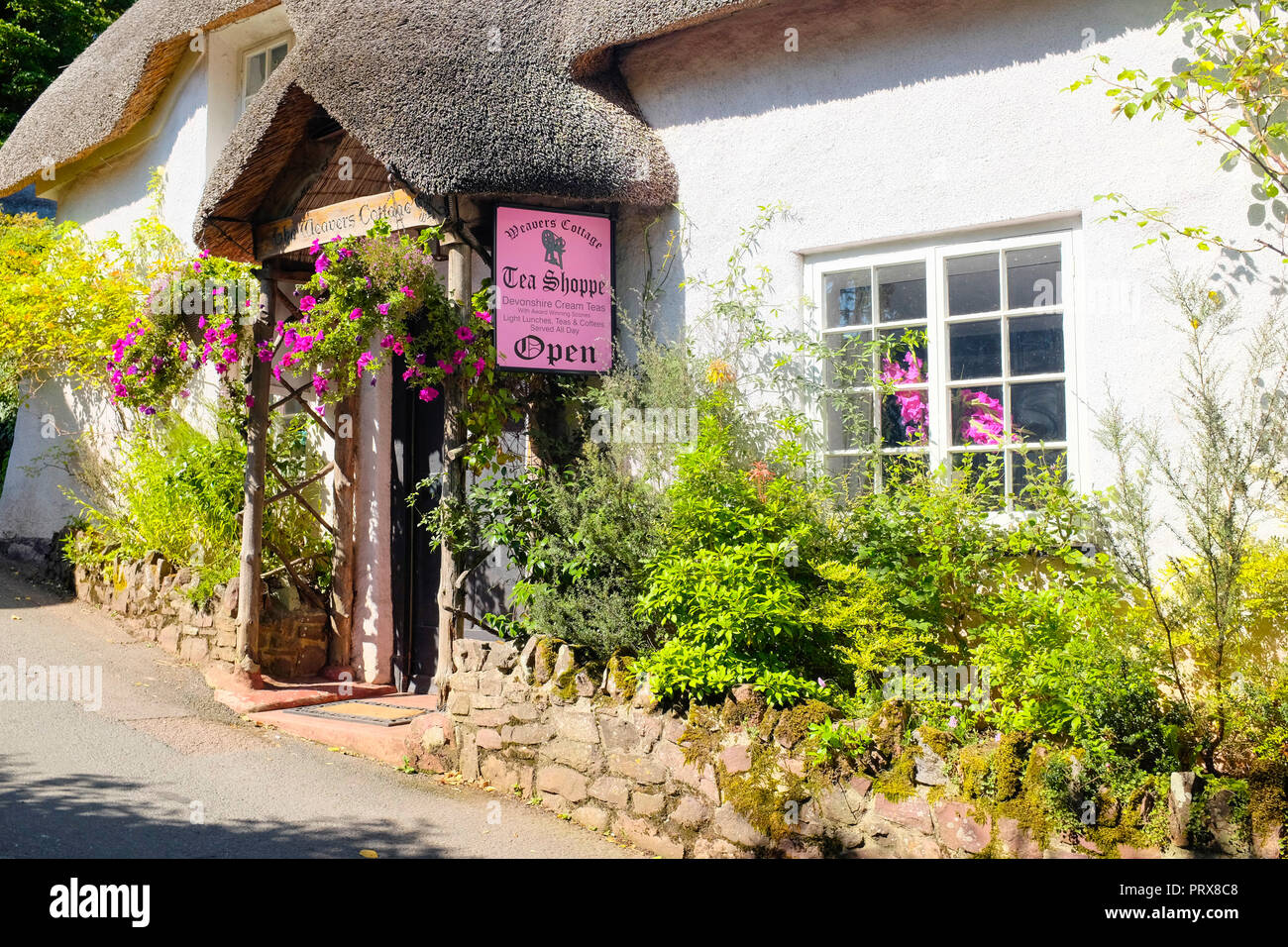 Devon cream tea hi-res stock photography and images - Alamy