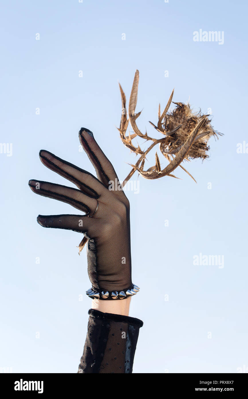 flower in hands Stock Photo - Alamy