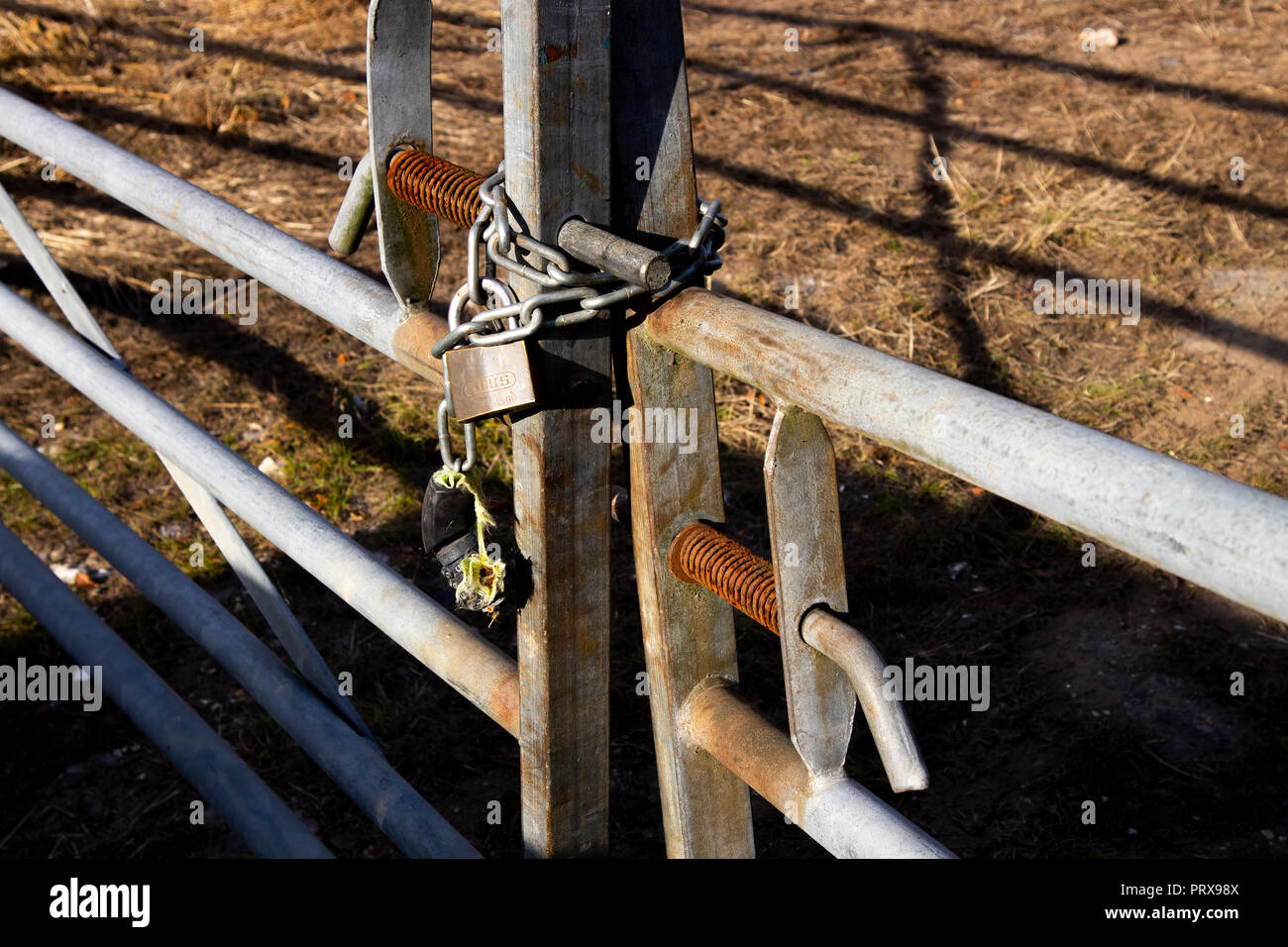 Field gate fastener latch hi-res stock photography and images - Alamy