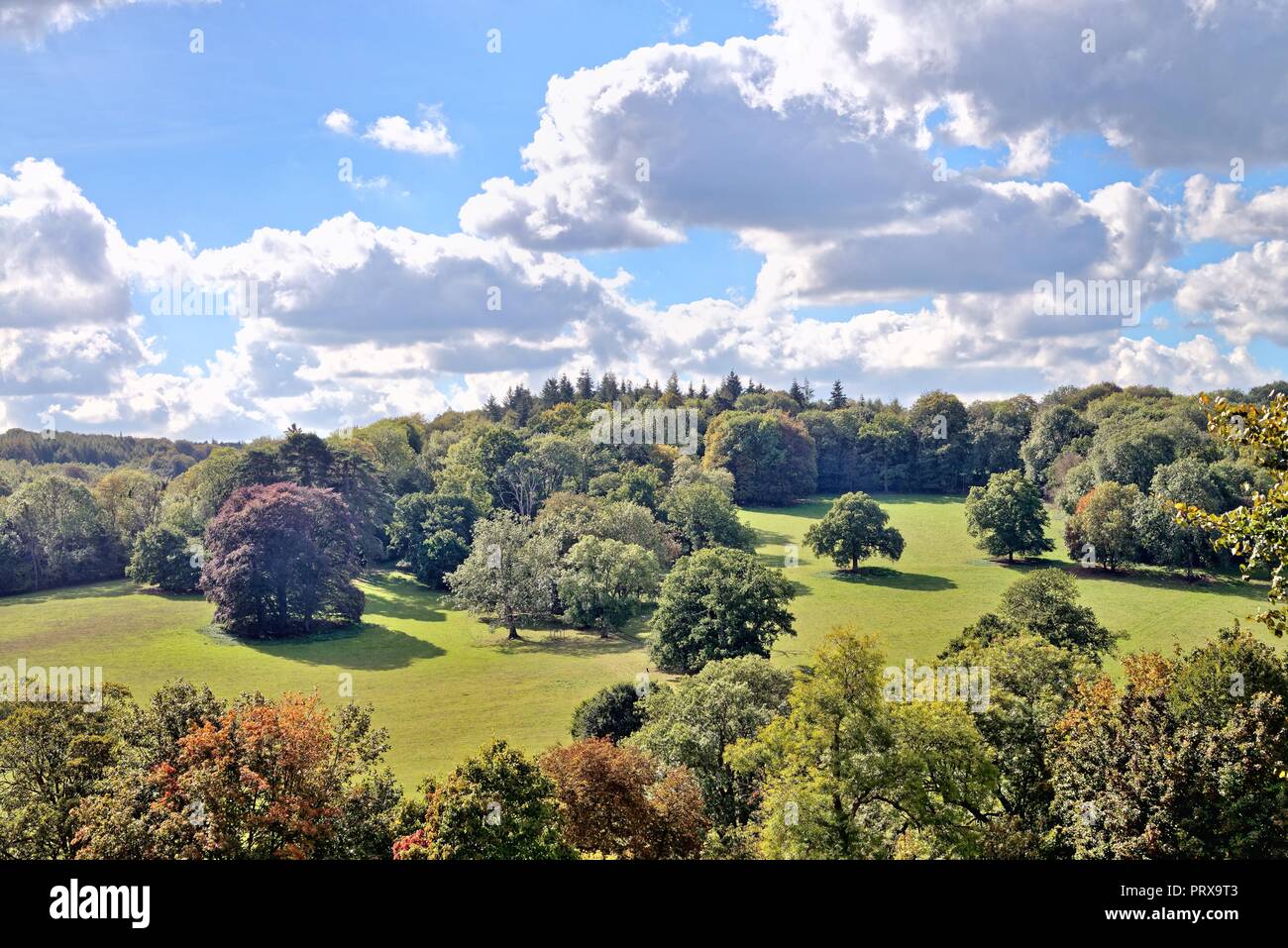 Rural countryside at Ranmore Common Dorking Surrey England UK Stock ...