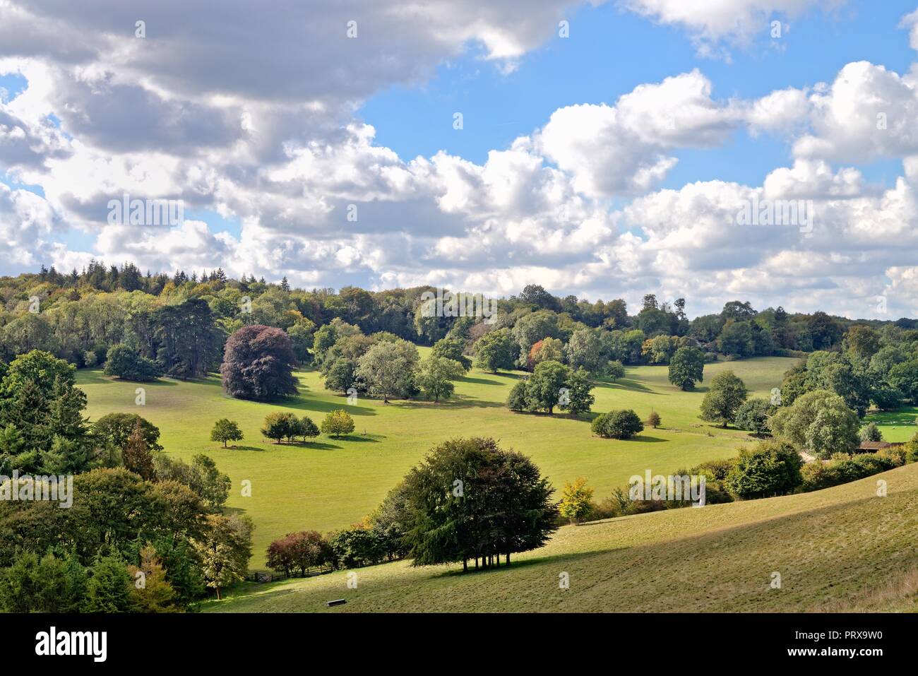 Surrey countryside hi-res stock photography and images - Alamy