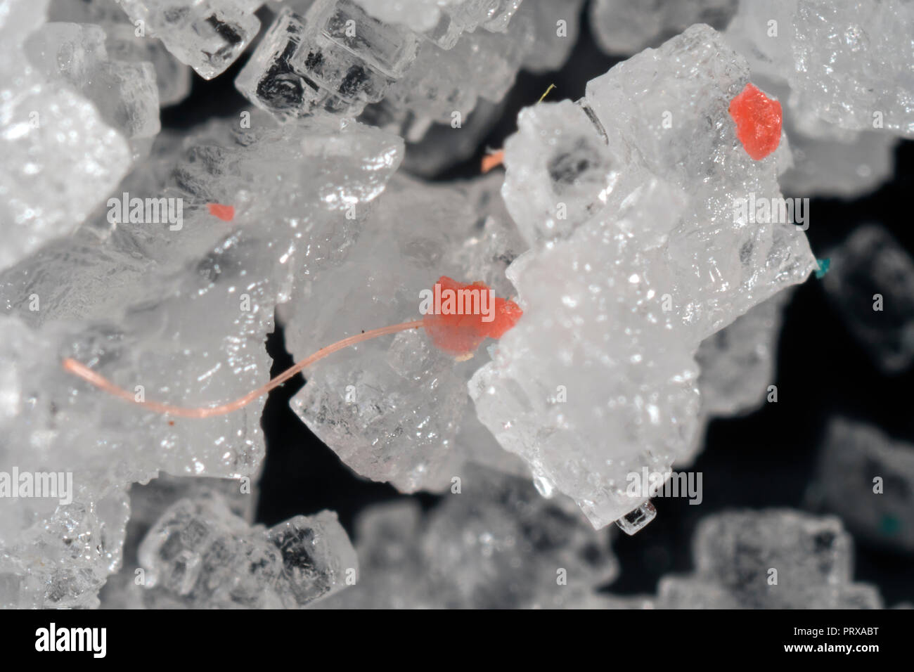 Sea Salt Beds High Resolution Stock Photography and Images - Alamy