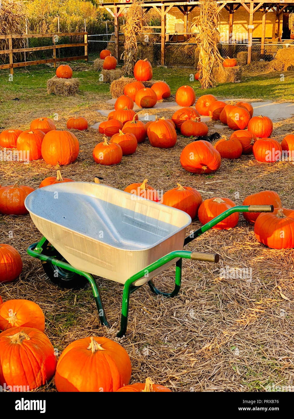 Orange wheel barrow hi-res stock photography and images - Alamy