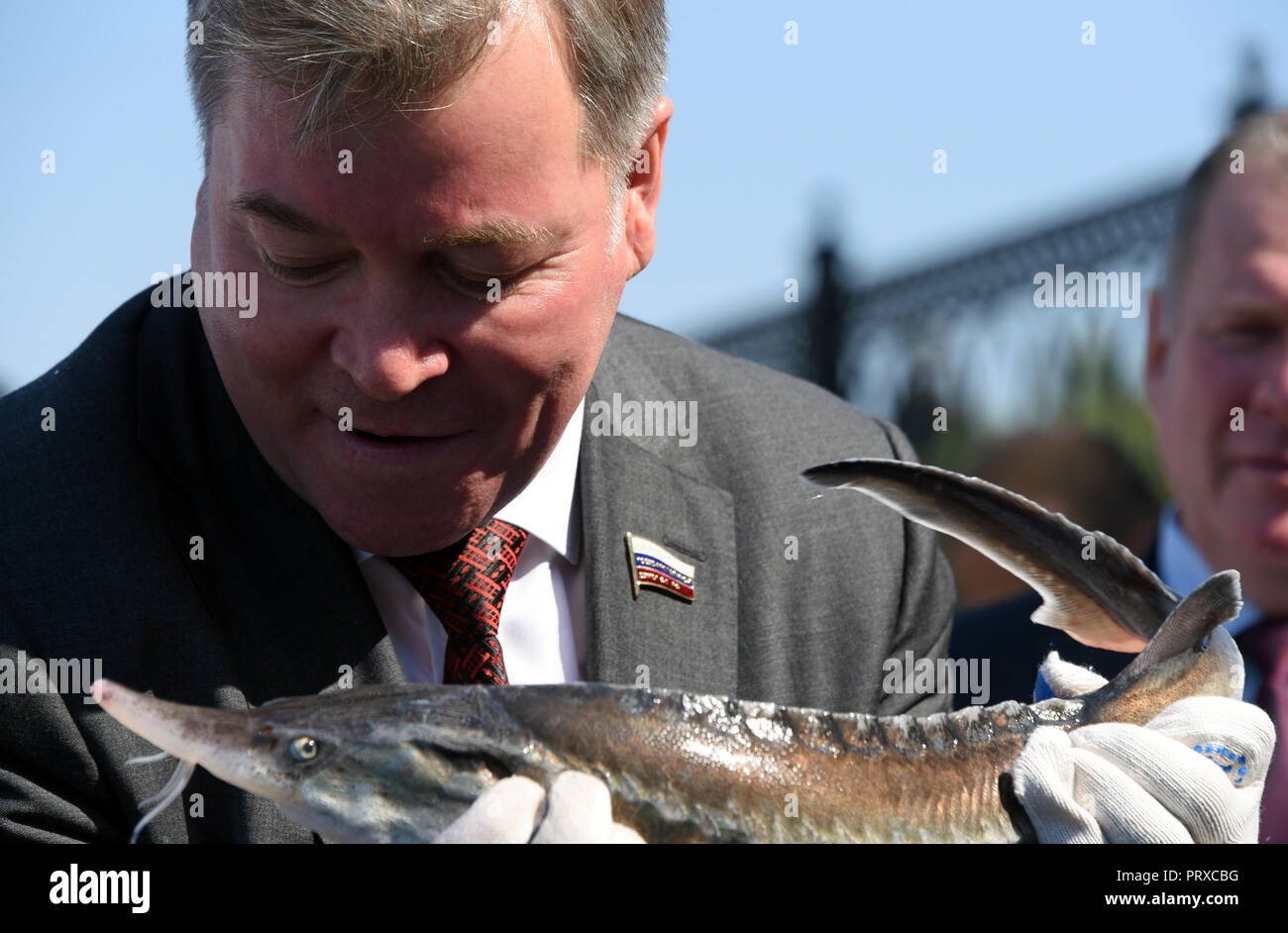 Beluga Sturgeon Record