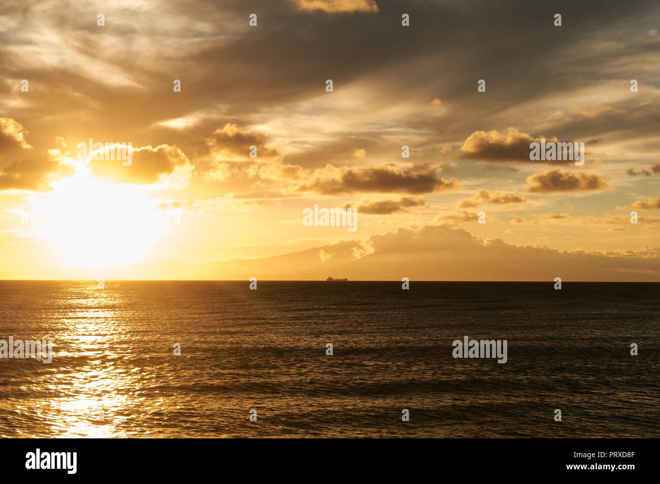 Pajaritos logistics terminal hi-res stock photography and images - Alamy