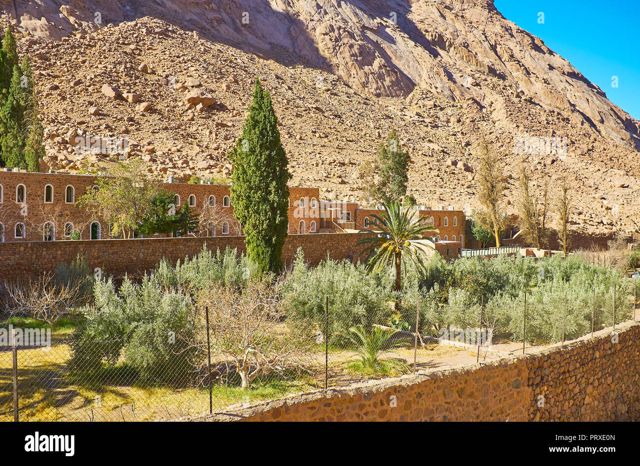 The olive orchard of the Sacred Monastery of the God-Trodden Mount ...