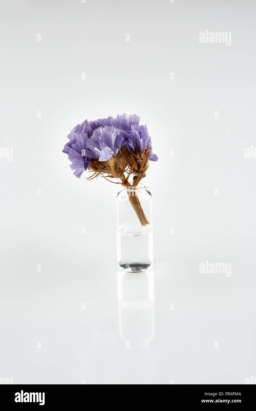 Violet flower in ampoule with medicine on white background Stock Photo ...
