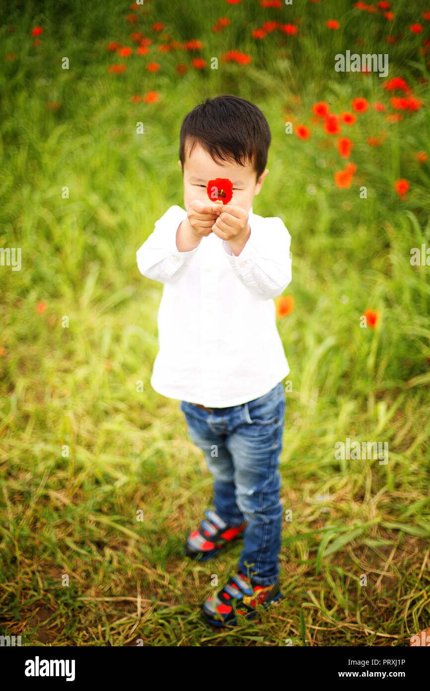 Children playing in poppy field hi-res stock photography and images - Alamy