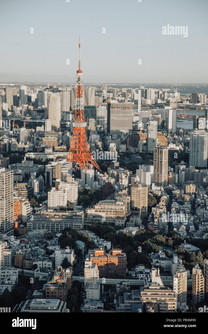 Tokyo skyline and buildings from above, view of the Tokyo tower Stock ...