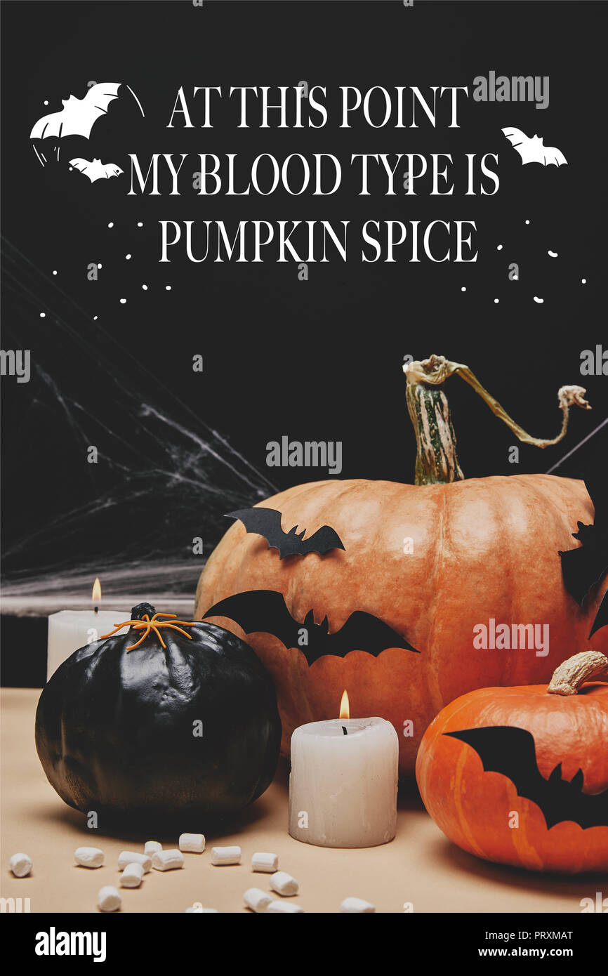 paper bats and spider on halloween pumpkins with "at this point my ...