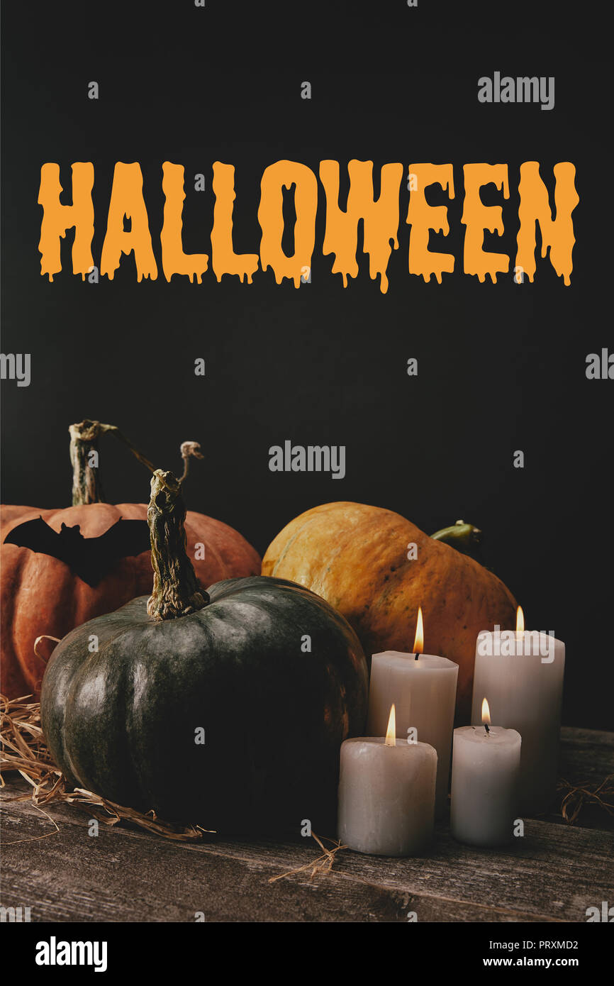 Paper bat pumpkins halloween hi-res stock photography and images - Alamy