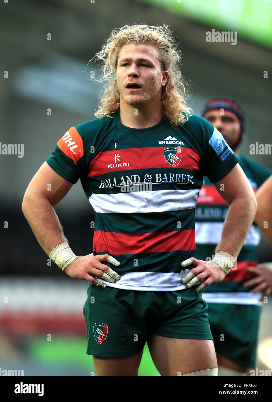 David denton tigers hi-res stock photography and images - Alamy