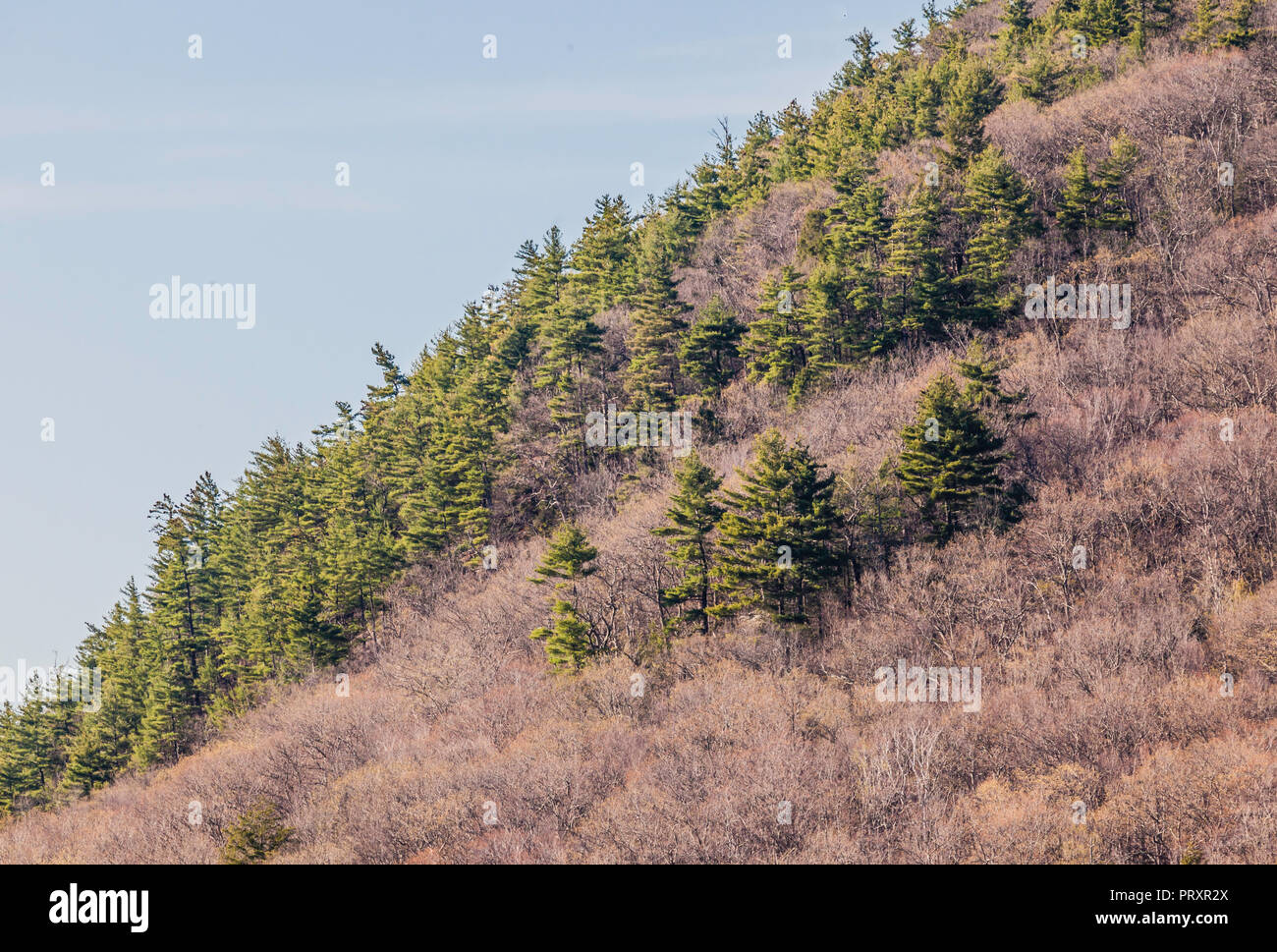 Hogback Dam Hartland, Connecticut, USA Stock Photo - Alamy