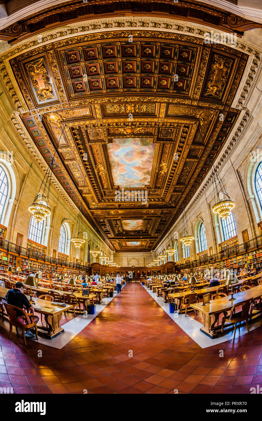 New York Public Library Manhattan New York, New York, USA Stock Photo ...