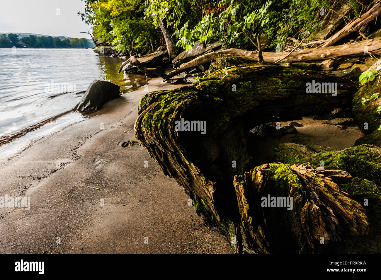 Connecticut River Shoreline Hadlyme, Connecticut, USA Stock Photo - Alamy
