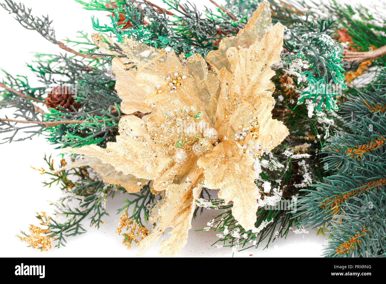 Merry gold flower tree hi-res stock photography and images - Alamy