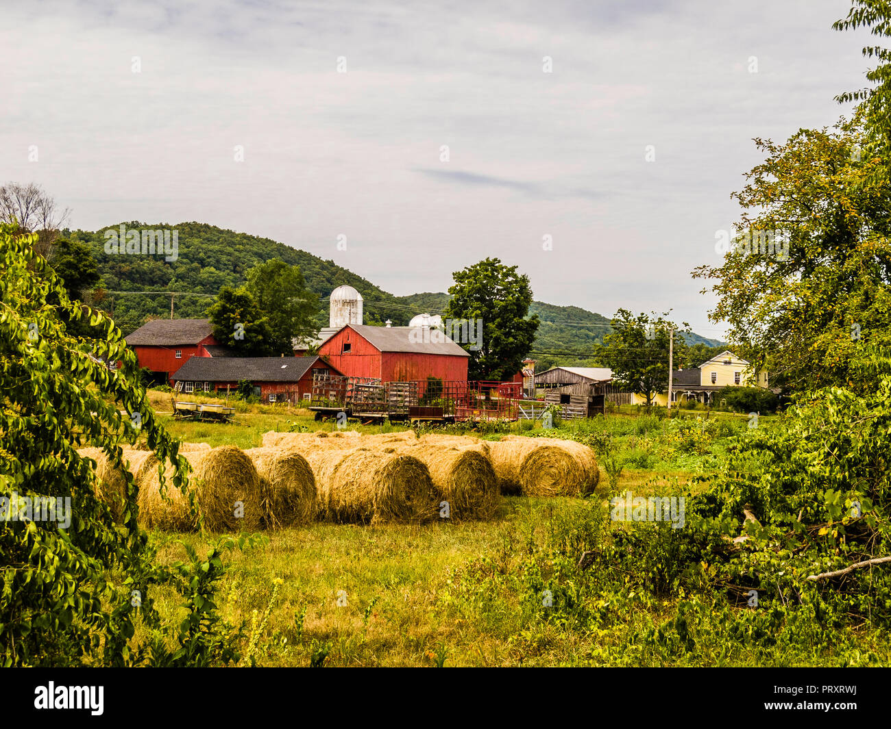 Hay Rolls Tulmeadow Farm Simsbury, Connecticut, USA Stock Photo - Alamy