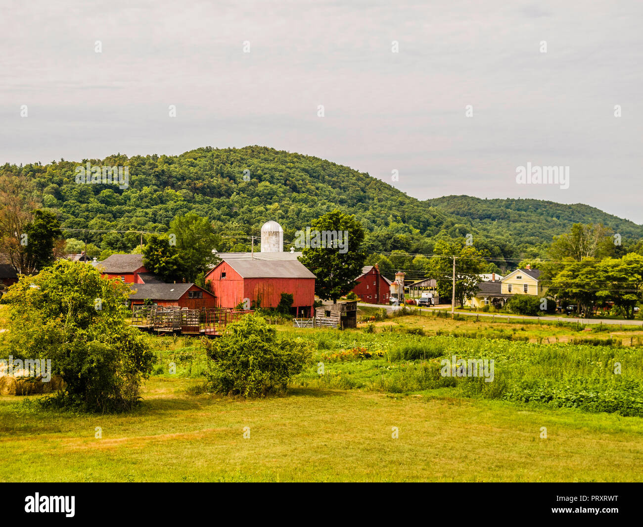 Hall Farm Simsbury Ct | SEASONAL CROPS — GEORGE HALL FARM – MNISES