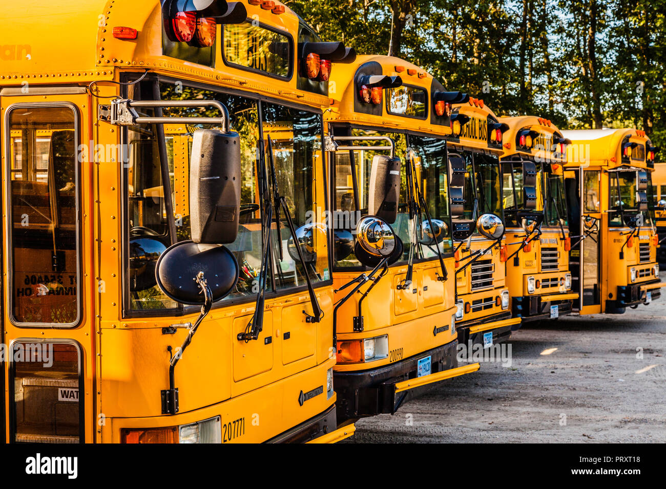 Bluebird School Buses Columbia, Connecticut, USA Stock Photo - Alamy