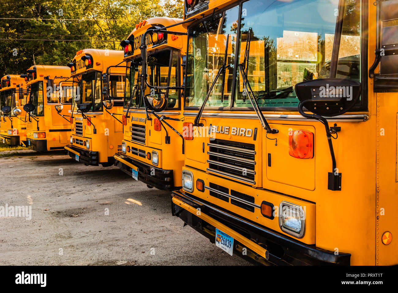 Bluebird bus hi-res stock photography and images - Alamy