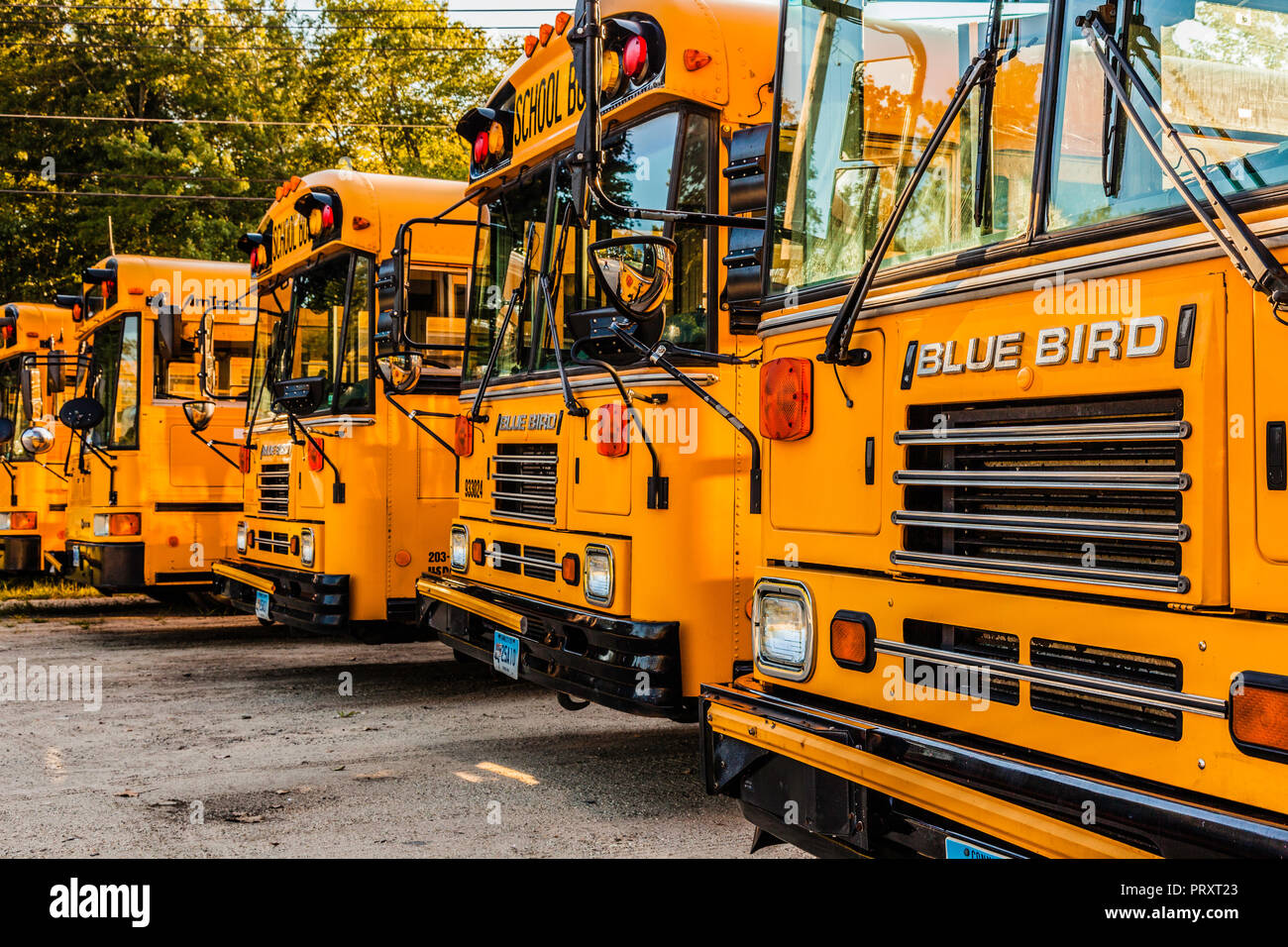 Bluebird bus hi-res stock photography and images - Alamy