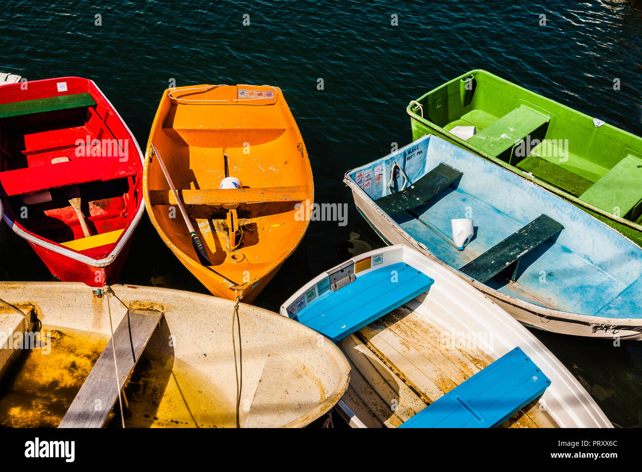 Bear skin dock hi-res stock photography and images - Alamy
