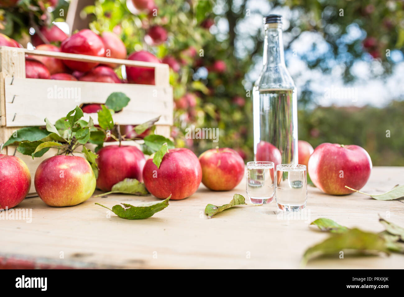 Two apples on a table hi-res stock photography and images - Alamy