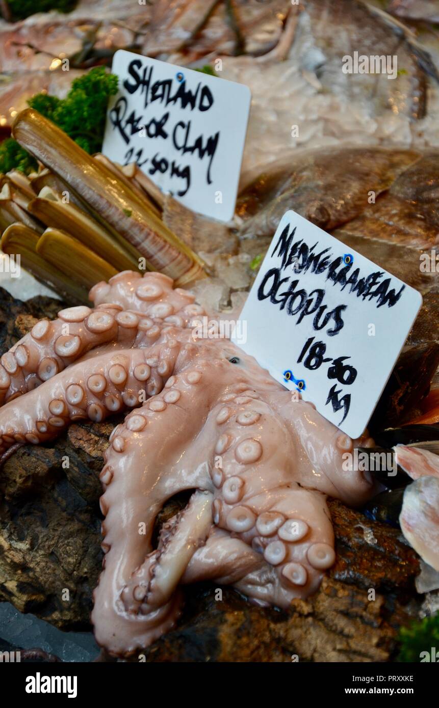 Mediterranean octopus and Shetland razor clams on display on fish stall ...