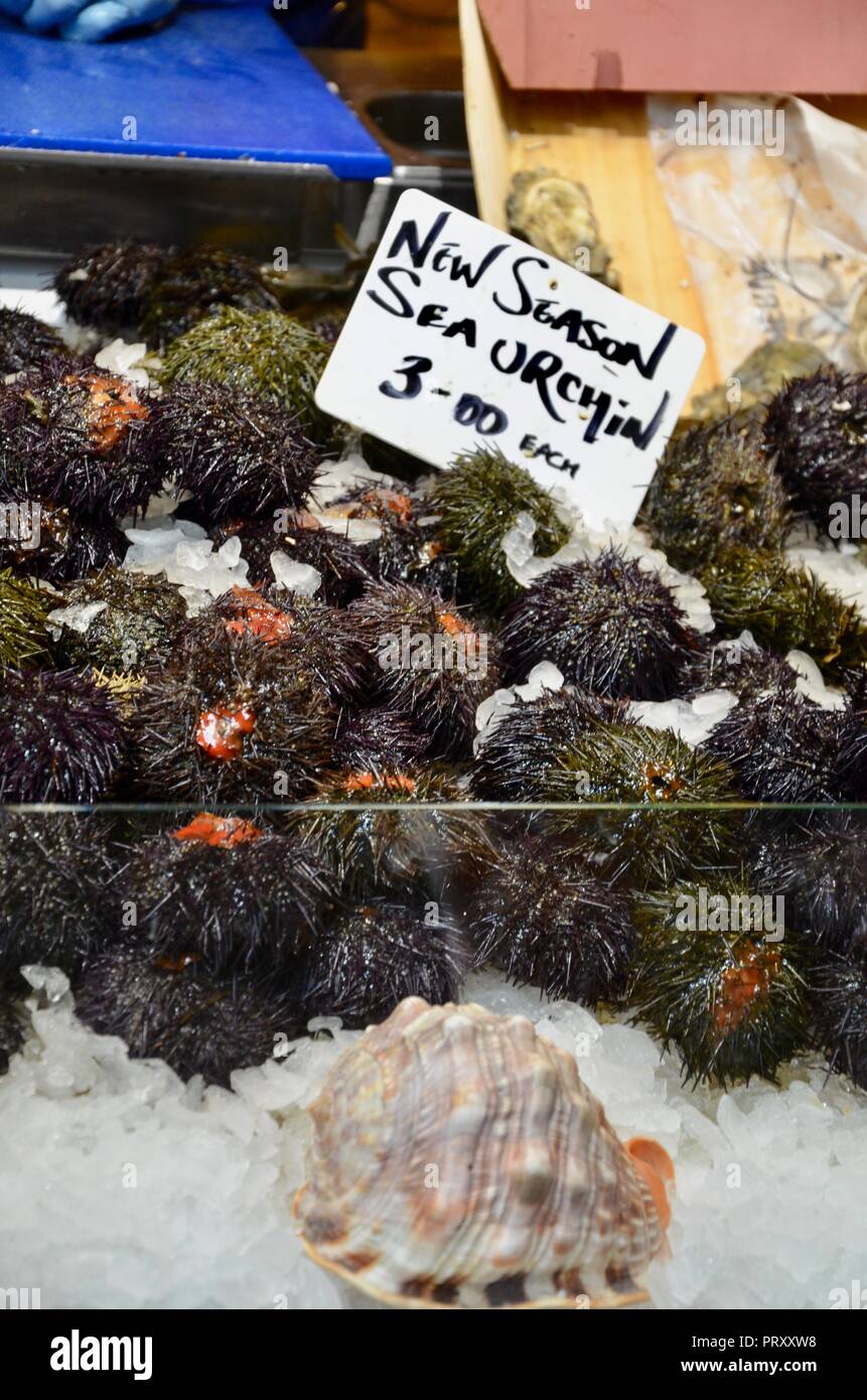 Sea urchins on shellfish stall on Borough Market, Southwark, London ...