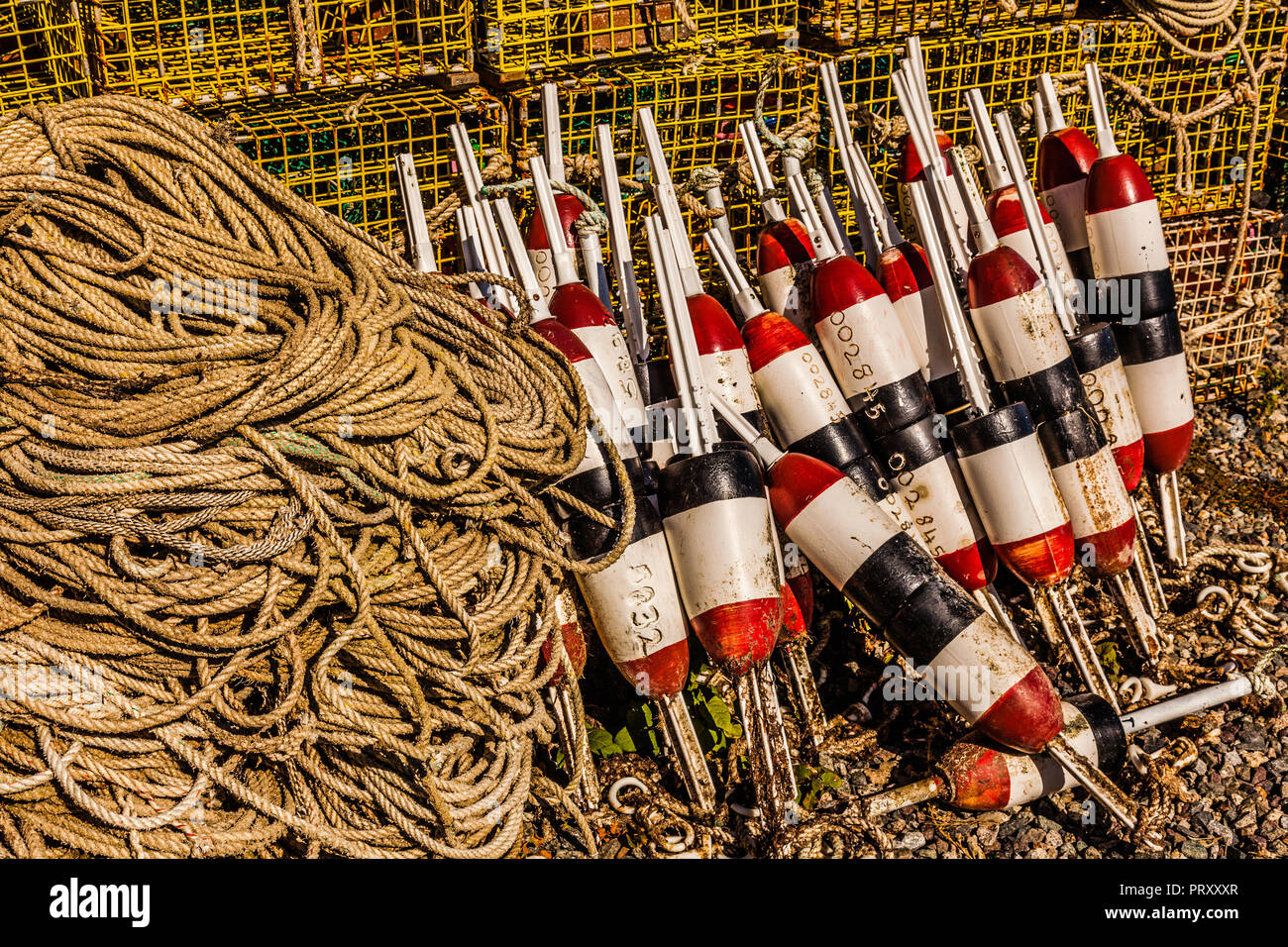 Bear skin dock hi-res stock photography and images - Alamy