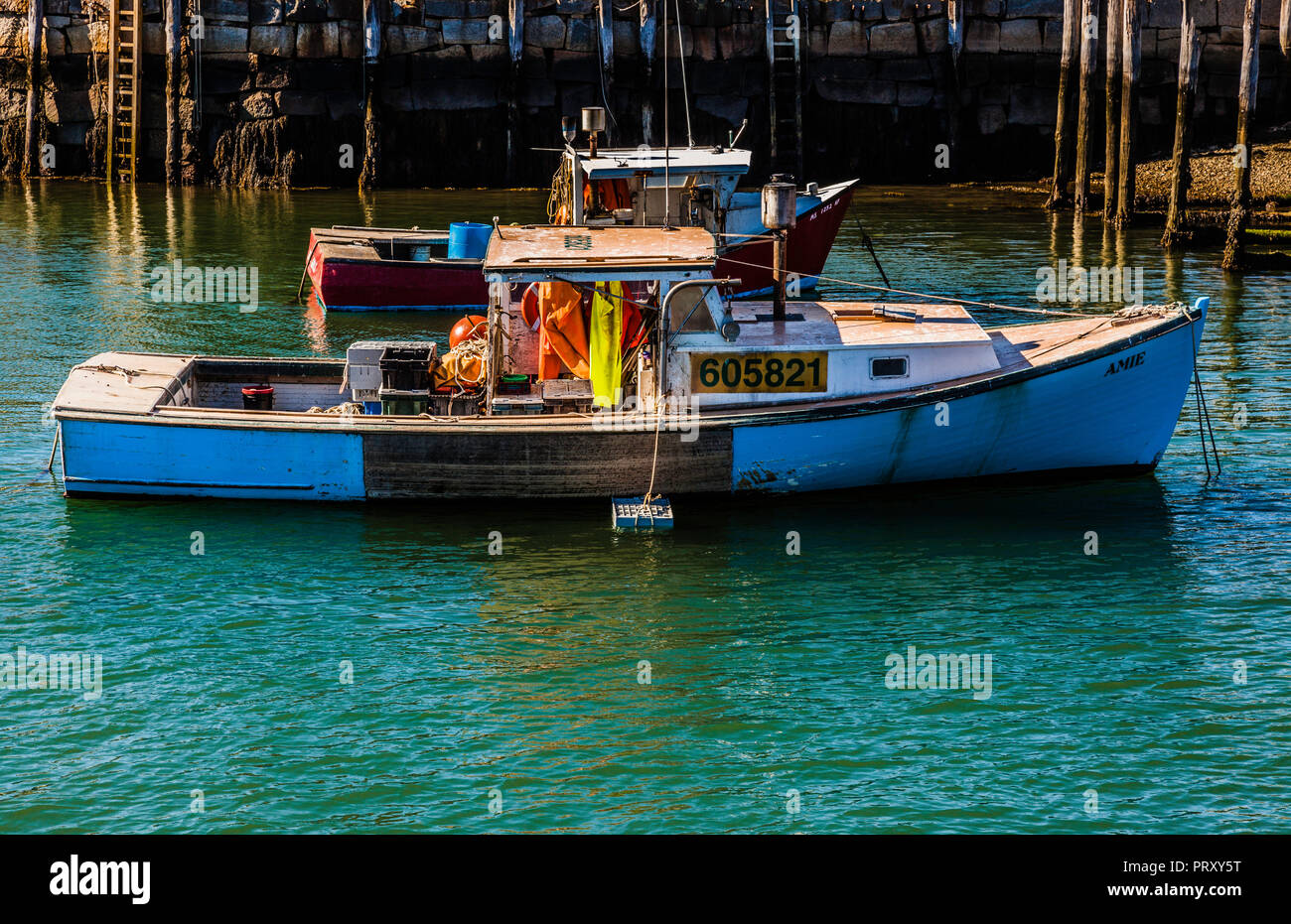 Bear skin dock hi-res stock photography and images - Alamy