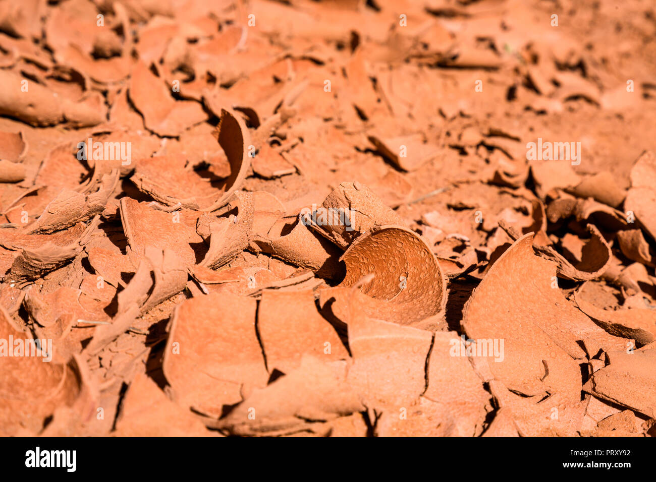Orange mud layer hi-res stock photography and images - Alamy