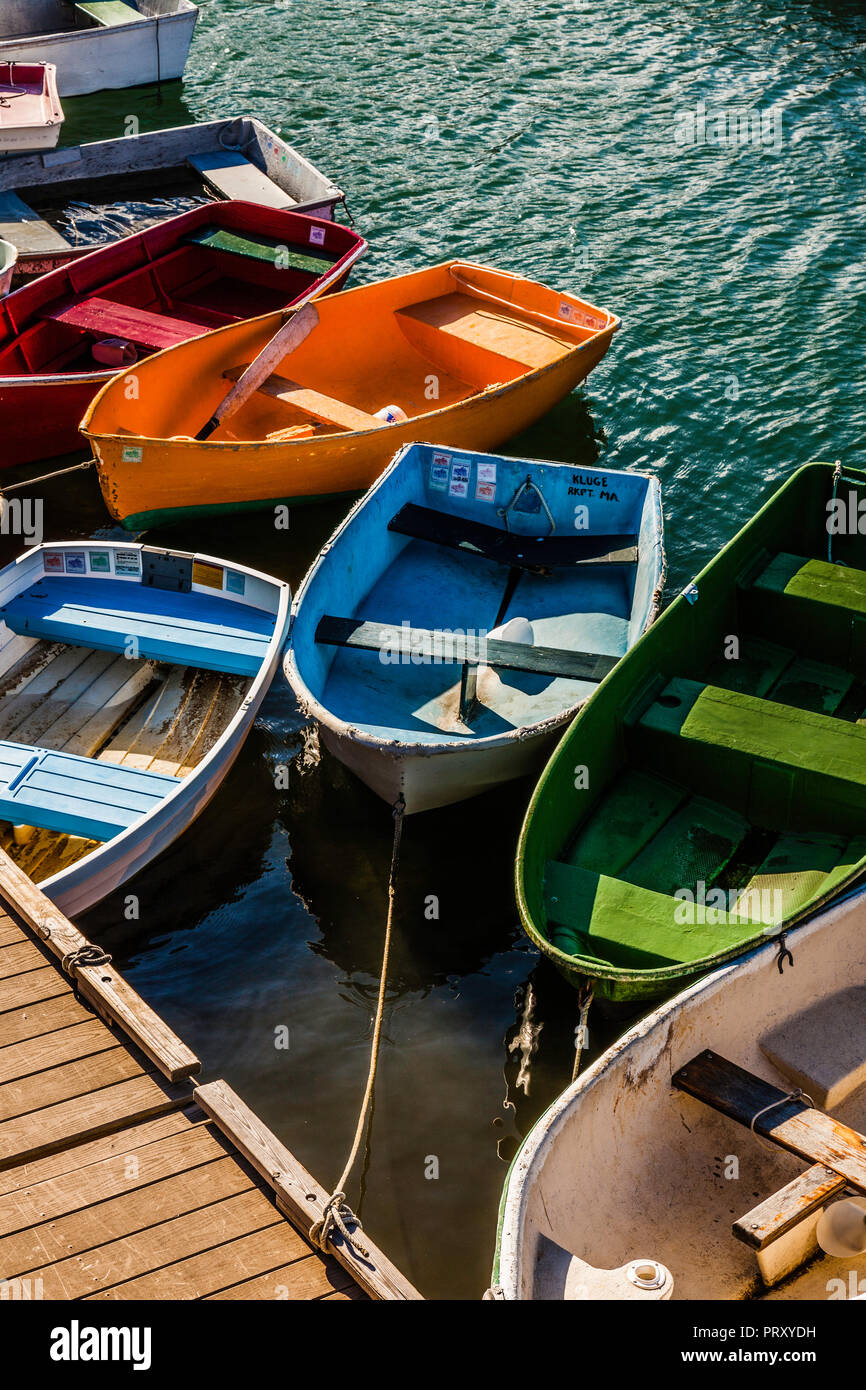 Bear skin dock hi-res stock photography and images - Alamy