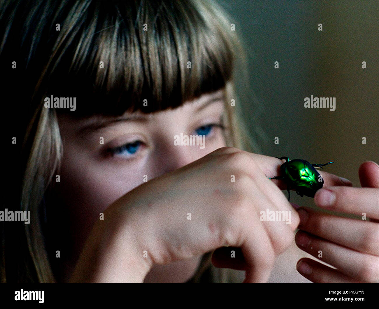 Thomé Stock Photos & Thomé Stock Images - Alamy