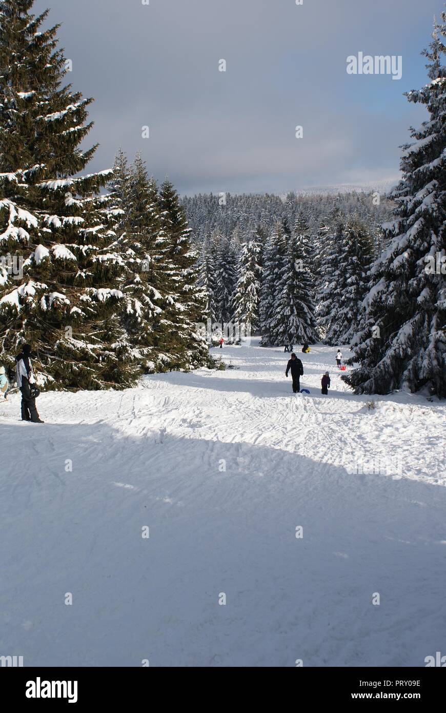 toboggan with kids in snow hard winter in Germany harz Stock Photo - Alamy