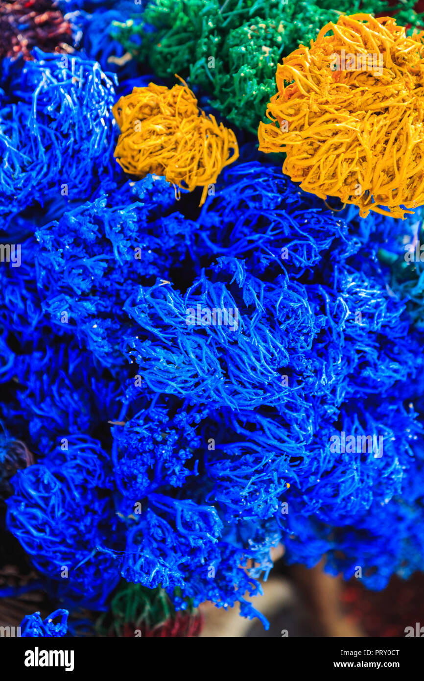 blue green yellow colored dried algae, design elements, Seaweed Farming ...
