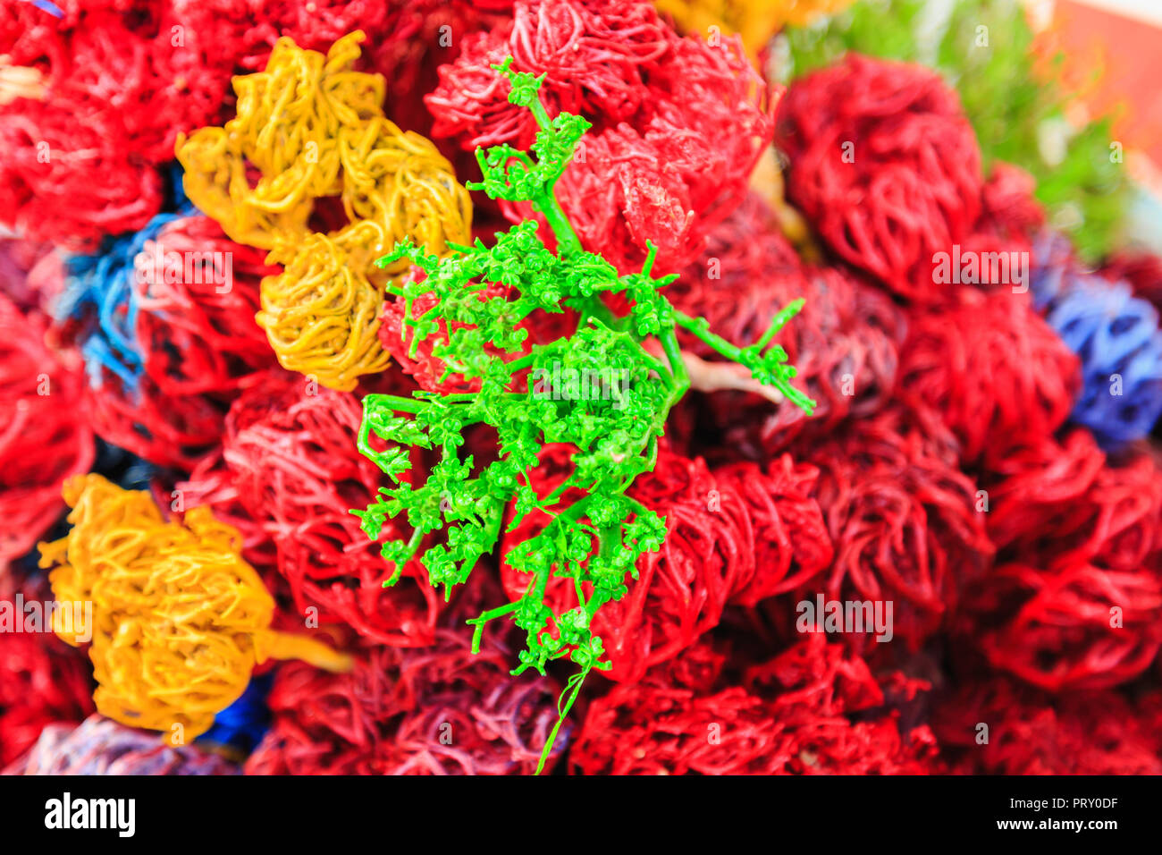 red blue green yellow colored dried algae, design elements, Seaweed ...