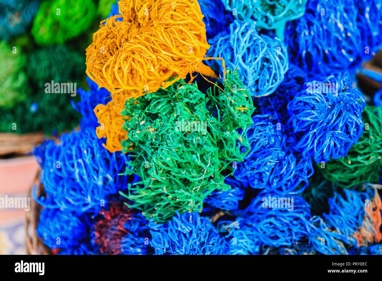 blue green yellow colored dried algae, design elements, Seaweed Farming ...