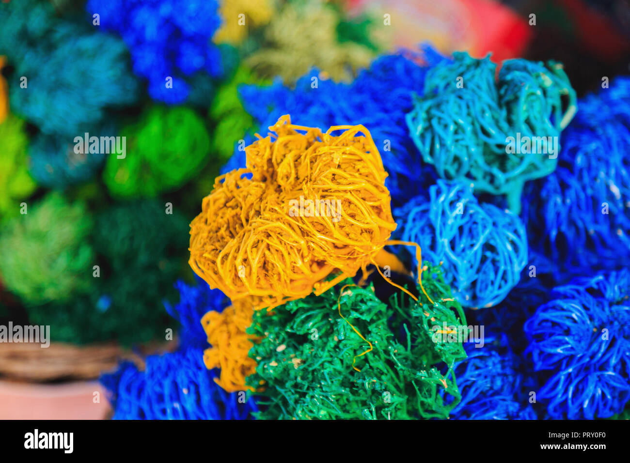 blue green yellow colored dried algae, design elements, Seaweed Farming ...