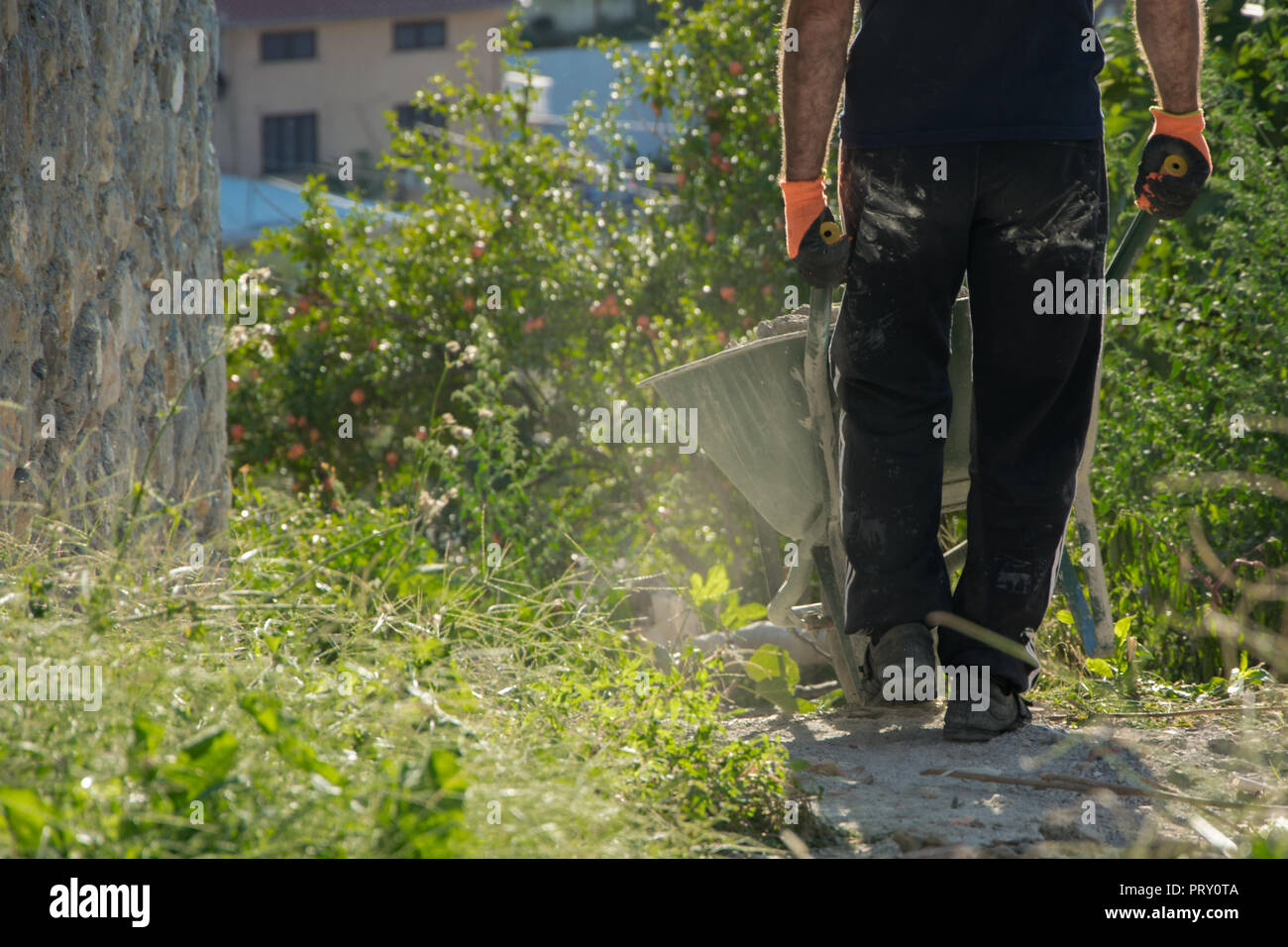 Crop view of young man (worker) with wheelbarrow Stock Photo - Alamy