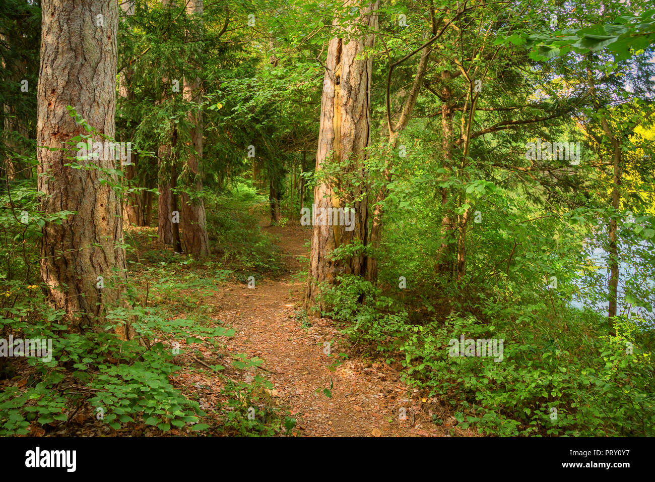 Schlosspark Laxenburg, Austria Stock Photo - Alamy