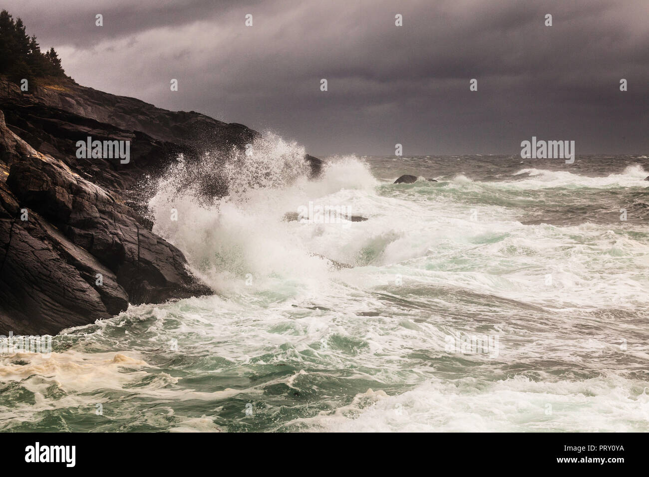 Christmas cove maine hi-res stock photography and images - Alamy
