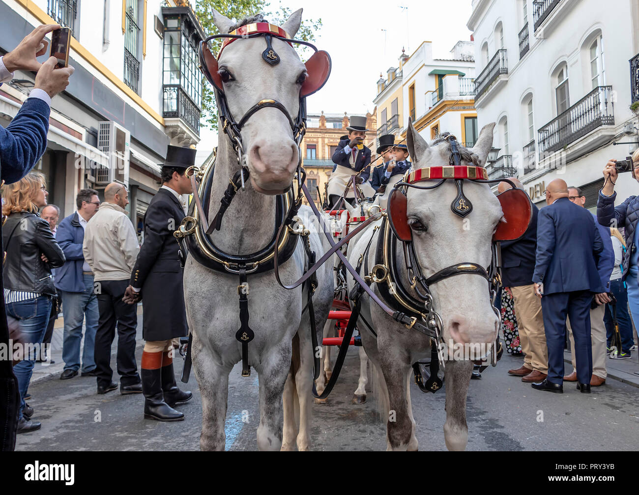 Pony feria man woman hi-res stock photography and images - Alamy