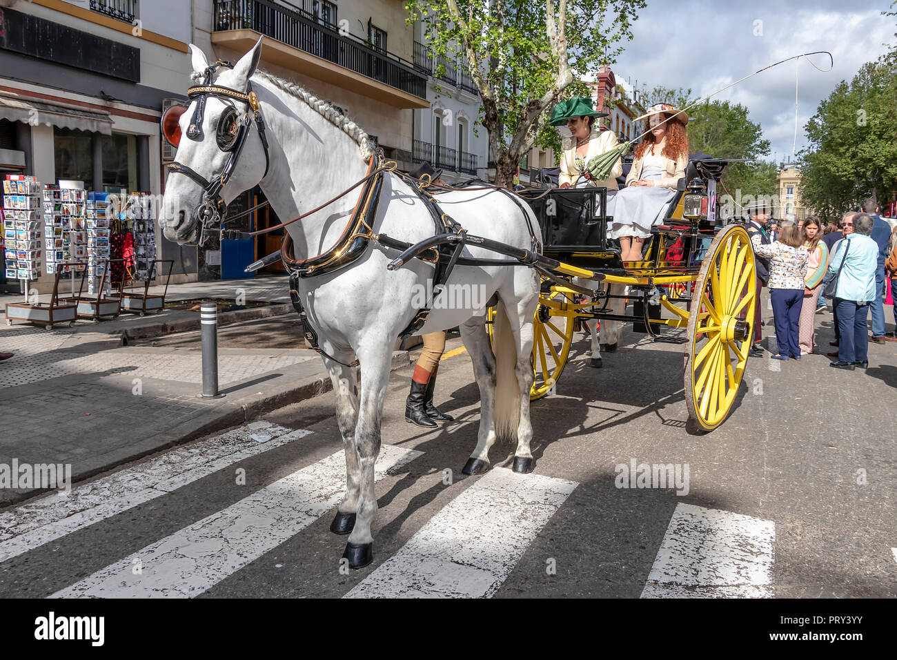 Seville, Spain - April 15, 2018: Women carries the traditional spanish ...