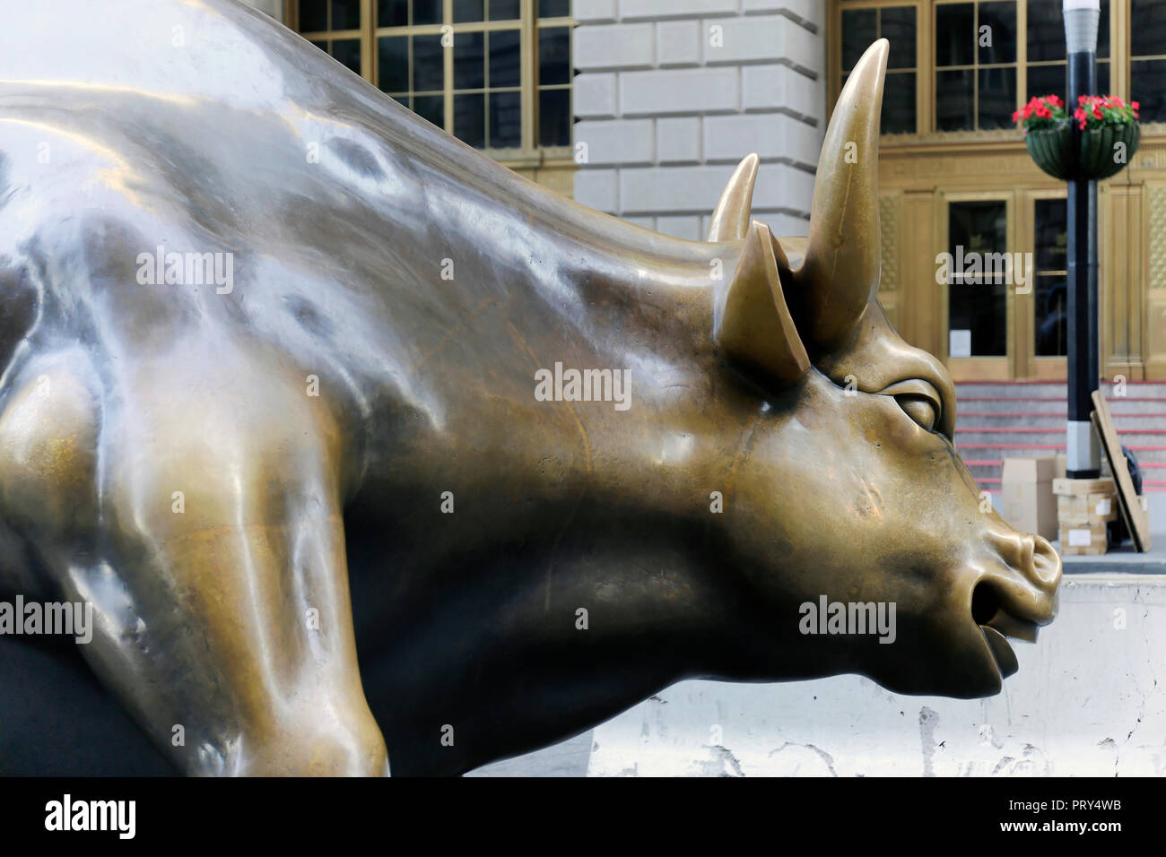 New York,USA: May 25, 2018:Charging bull sculpture at New York, USA ...