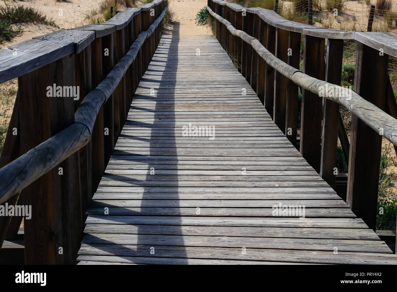 Wooden walkway leading to the beach, over the sand dunes, surrounded by ...