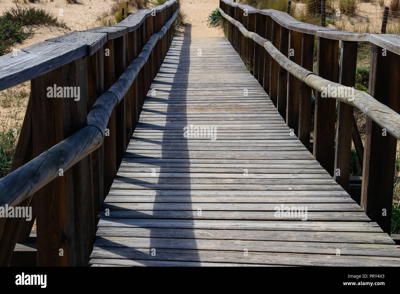 Wooden walkway leading to the beach, over the sand dunes, surrounded by ...