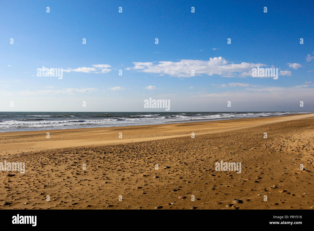 Beautiful landscape of Huelva beach, inside a nature reserve in ...