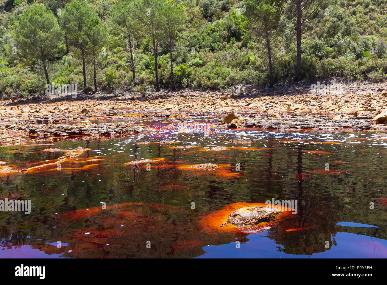 Rio Tinto river trough pines trees Stock Photo - Alamy